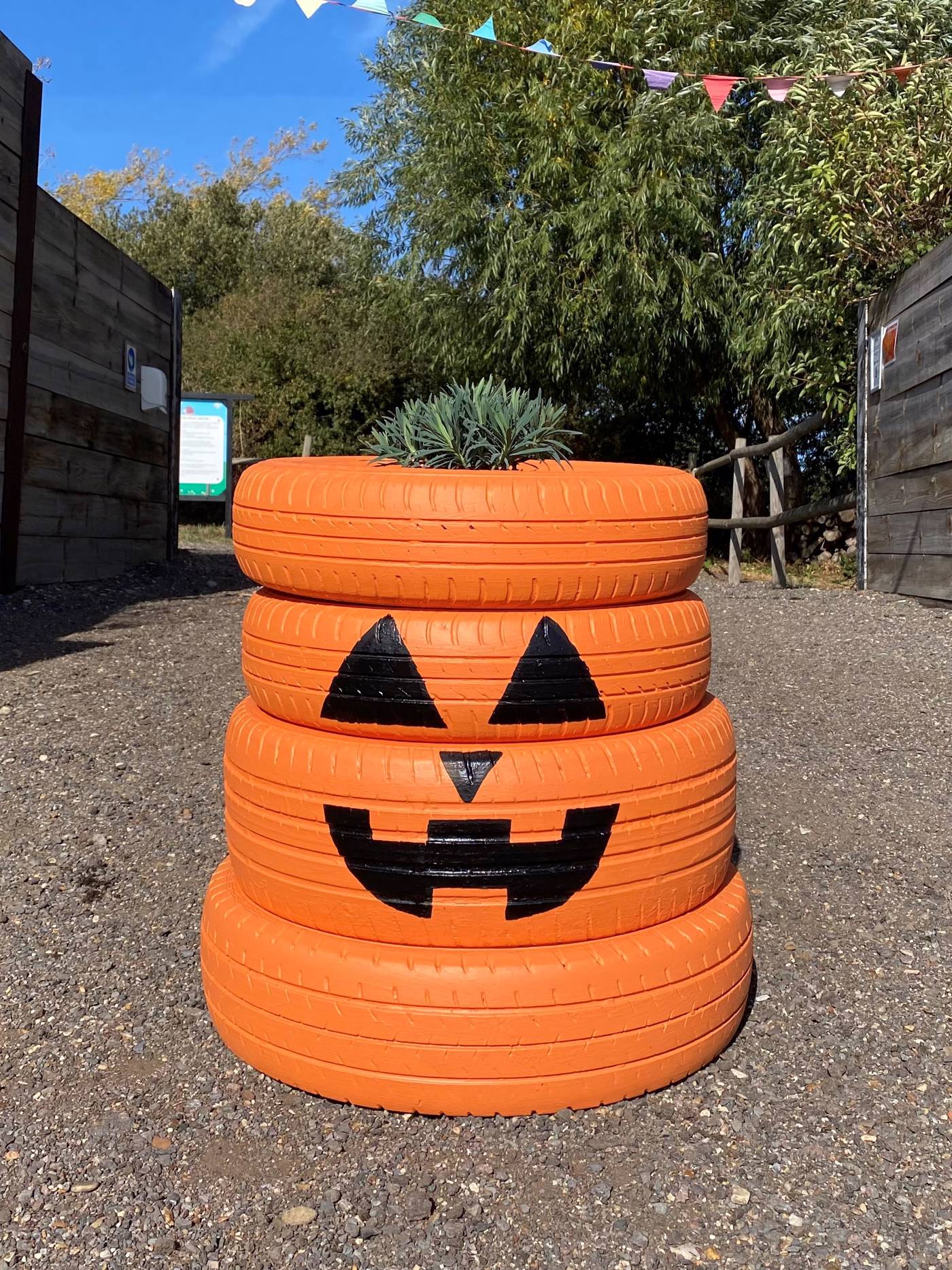 Pumpkin Week Hasty s Adventure Farm pumpkin-week-hasty-s-adventure-farm